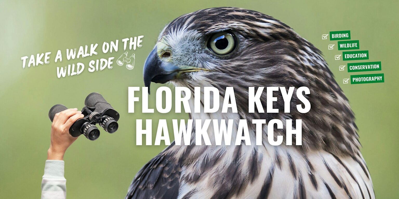 Florida Keys Hawk Watch at Curry Hammock State Park – Audubon Everglades