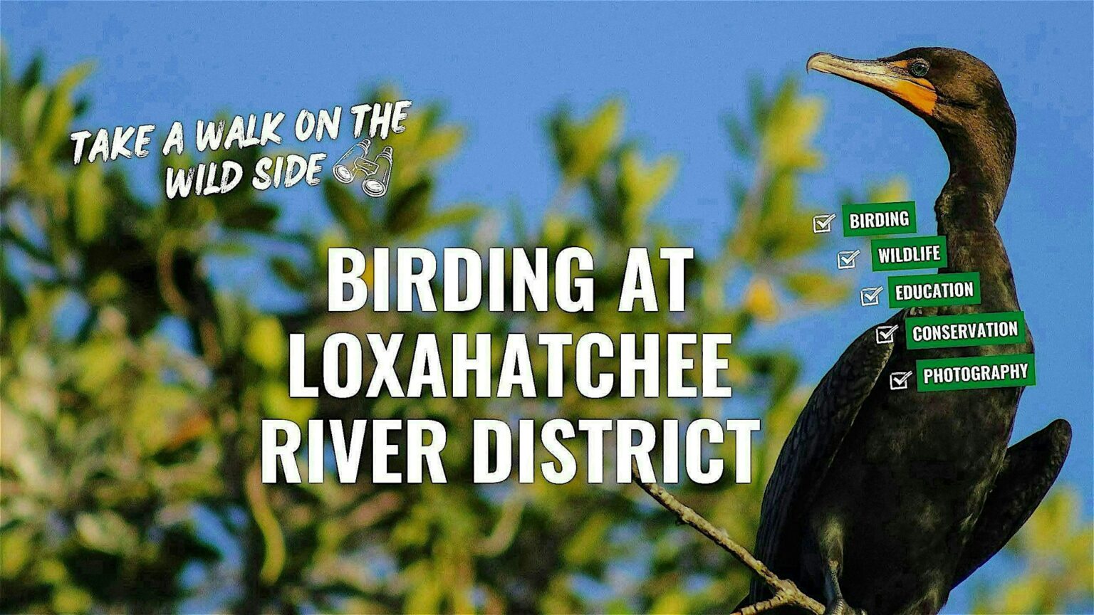 Birding at the Loxahatchee River District with the River Center ...